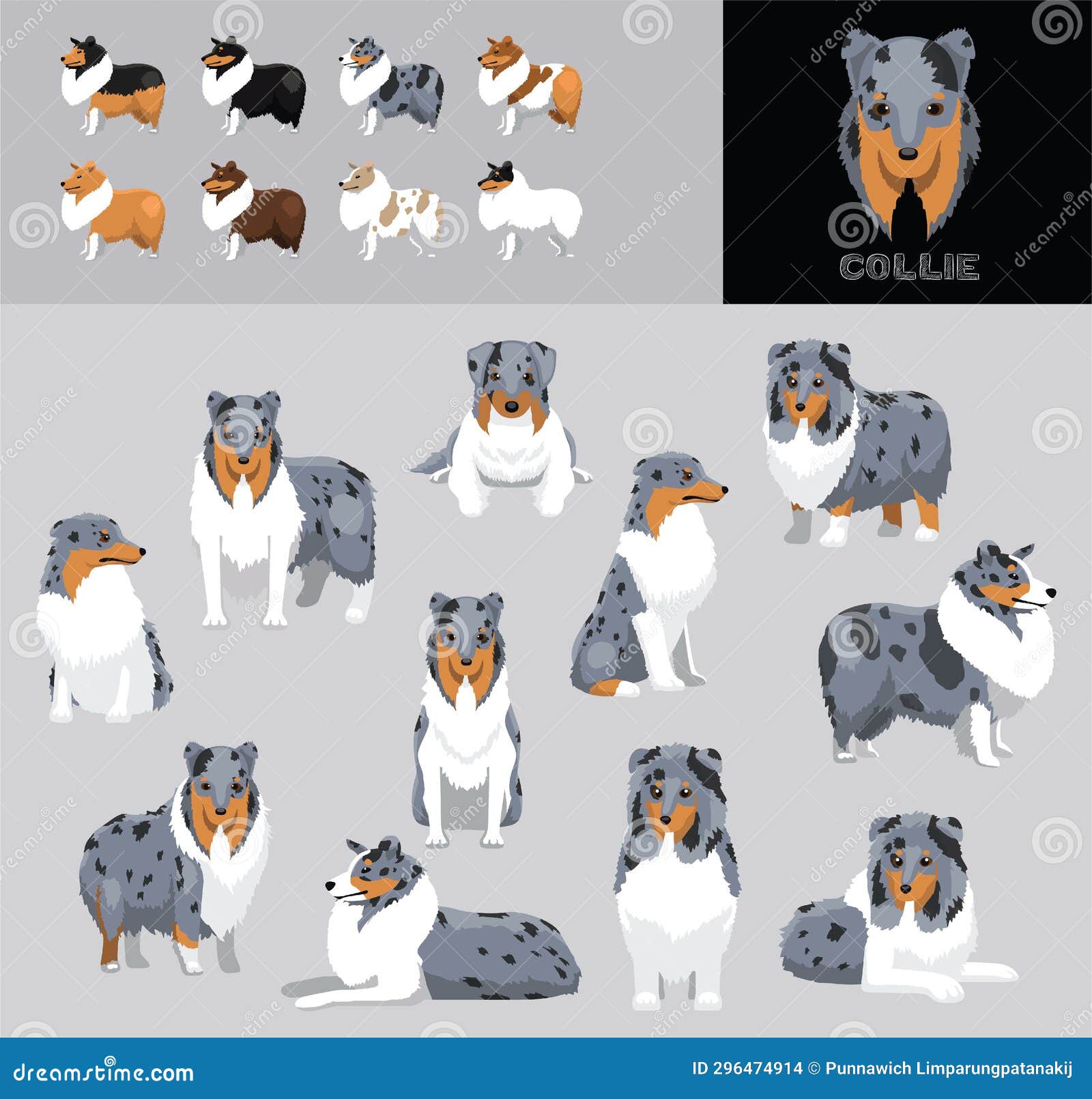 Dog Collie Blue Merle Coat Cartoon Vector Illustration Color Variation ...