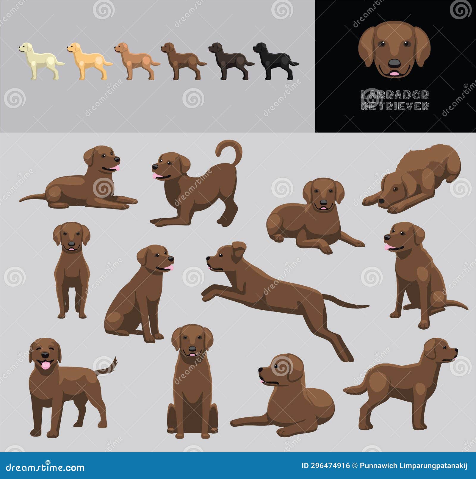 Dog Labrador Retriever Chocolate Coat Cartoon Vector Illustration Color ...