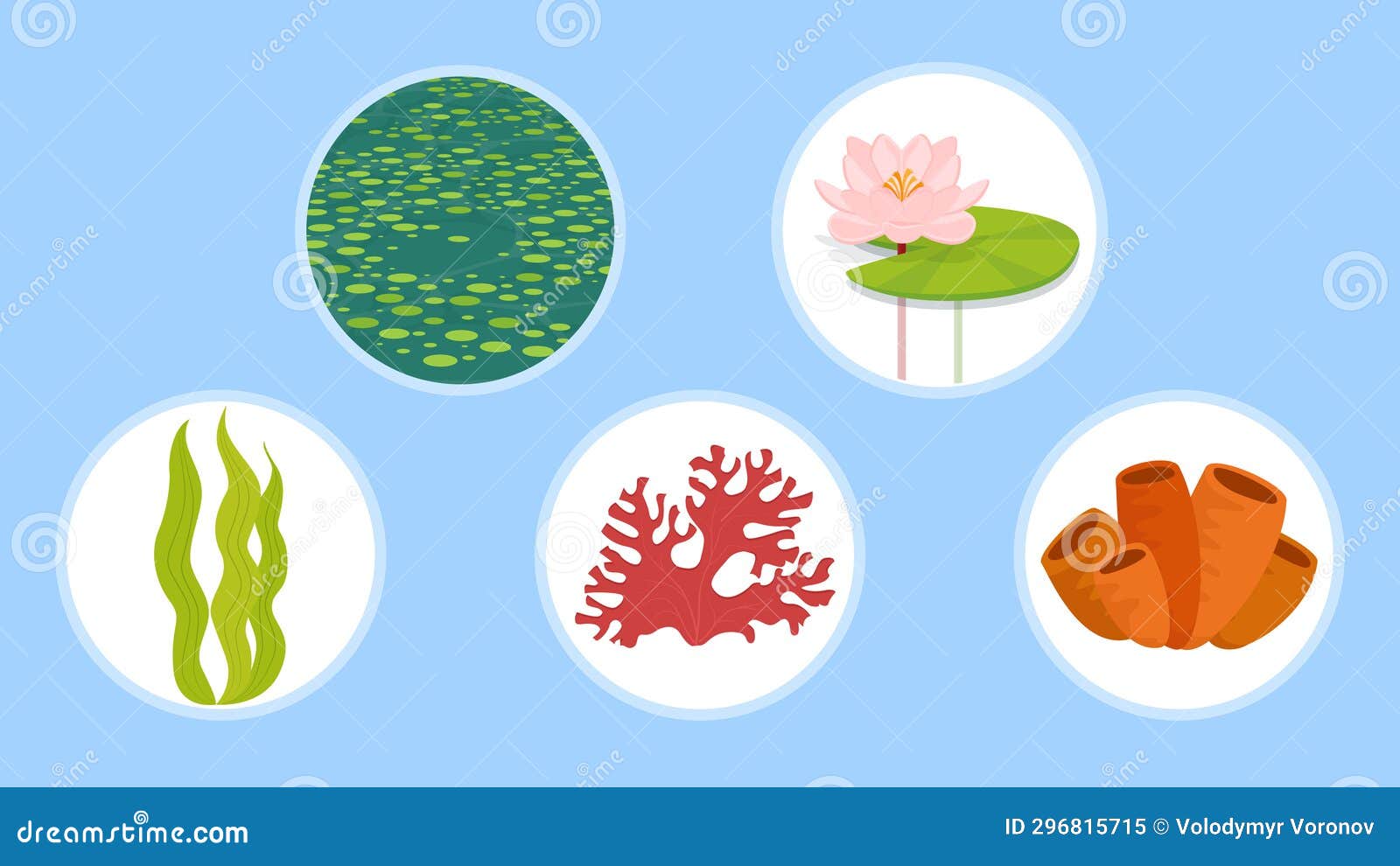 Icons Seaweed And Shell Cartoon Vector | CartoonDealer.com #237419223