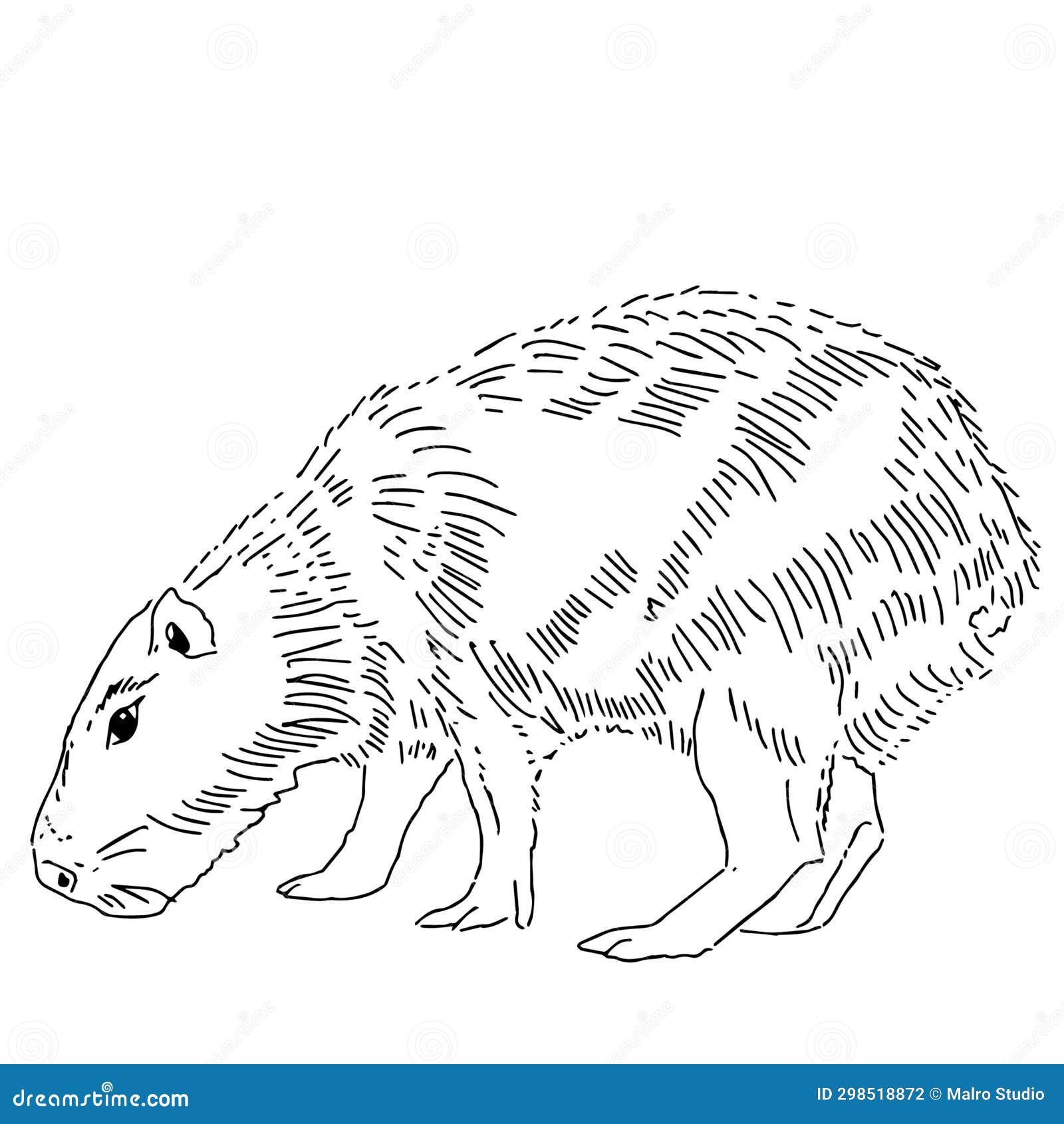 Capybara Vector for Tattoo. Stock Illustration - Illustration of doodle ...