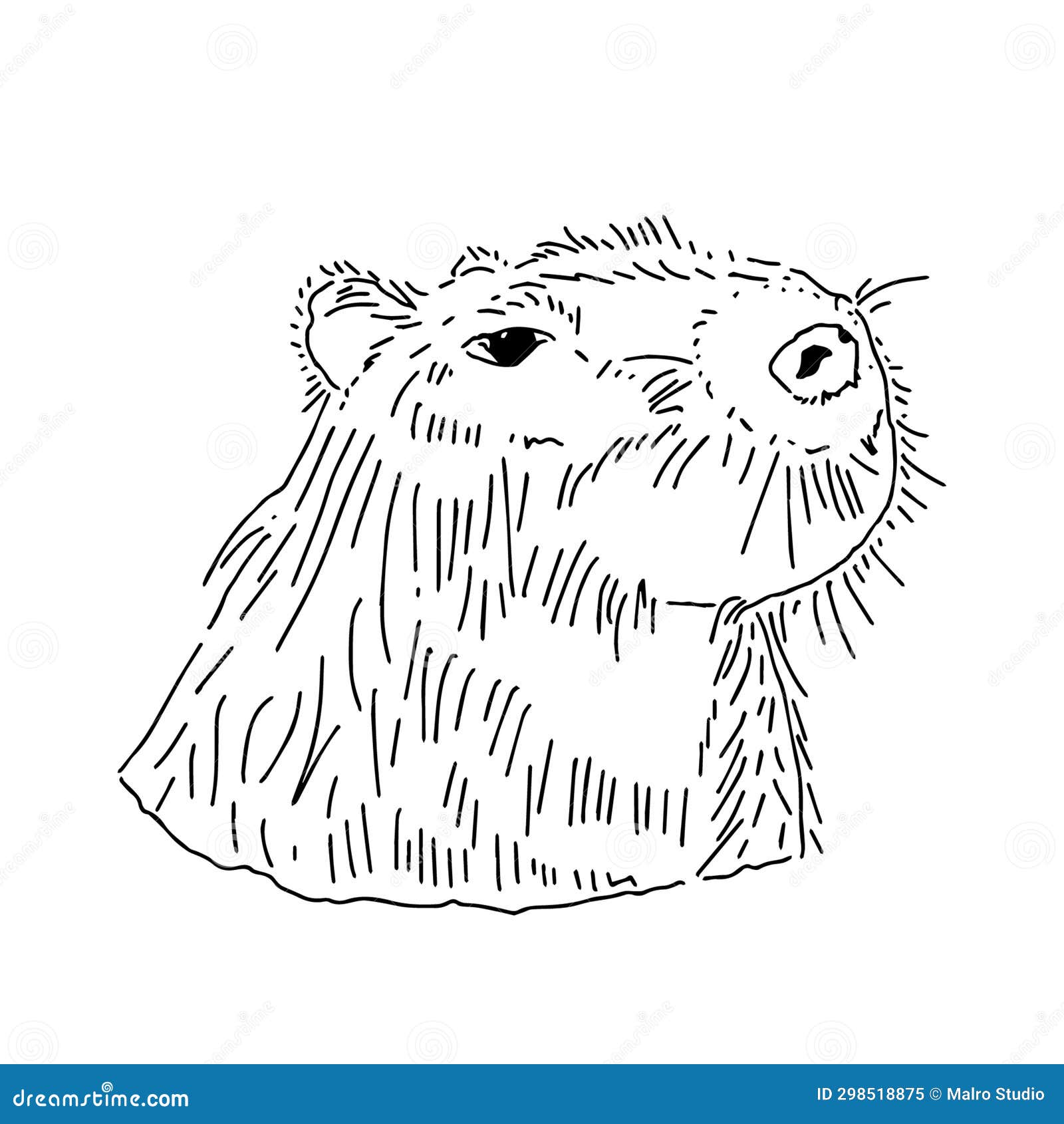 Capybara Vector for Tattoo. Stock Vector - Illustration of rodent ...