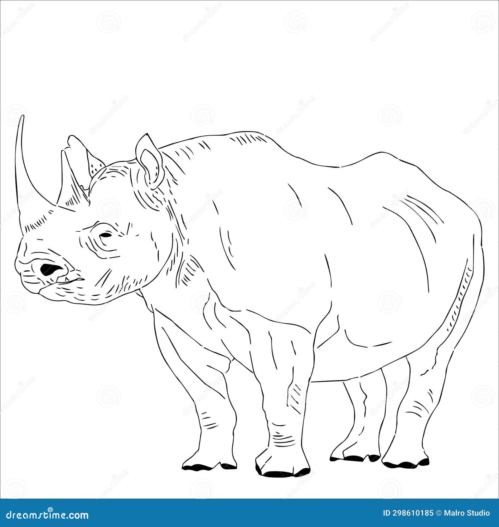 Drawing of rhinoceros. stock illustration. Illustration of graphic ...