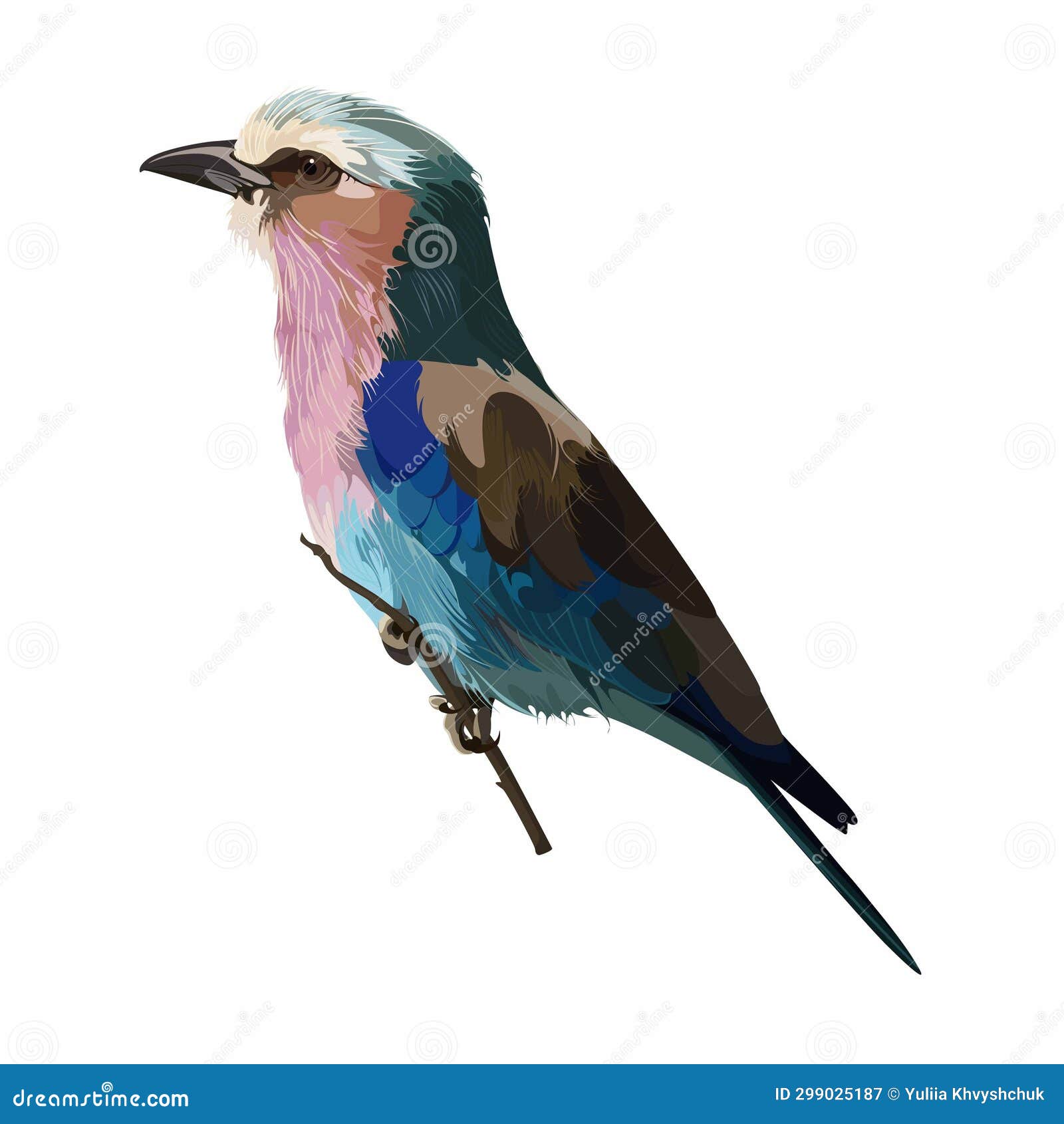 Lilac Breasted Roller Bird. Design Element Stock Illustration ...