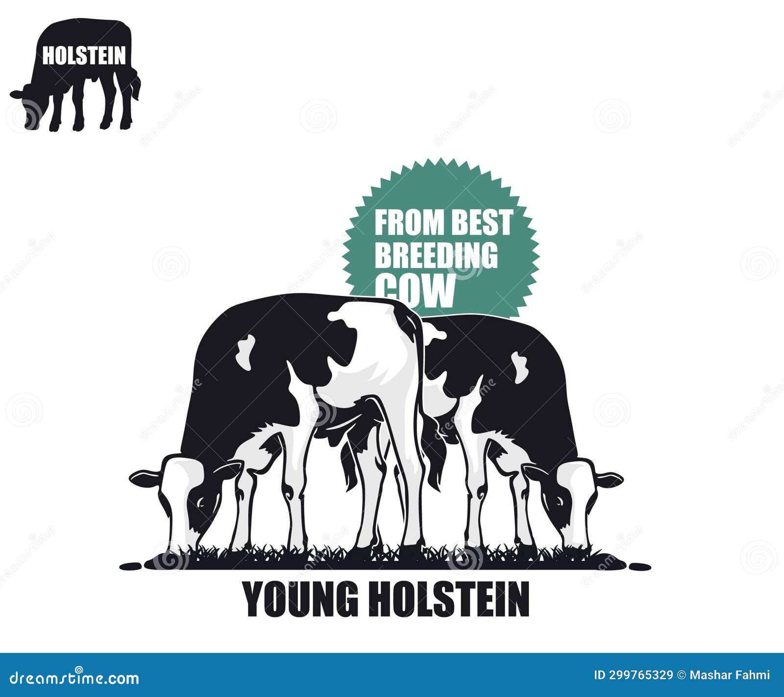 YOUNG HOLSTEIN COW EATING GRASS LOGO Stock Vector - Illustration of ...