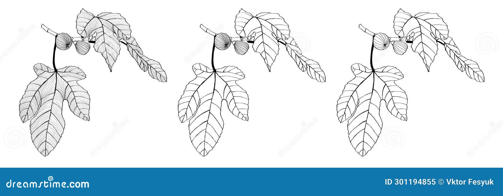 Fig Line Elements. Exotic Branch with Fruit and Leaves. Ripe Fig Icon ...