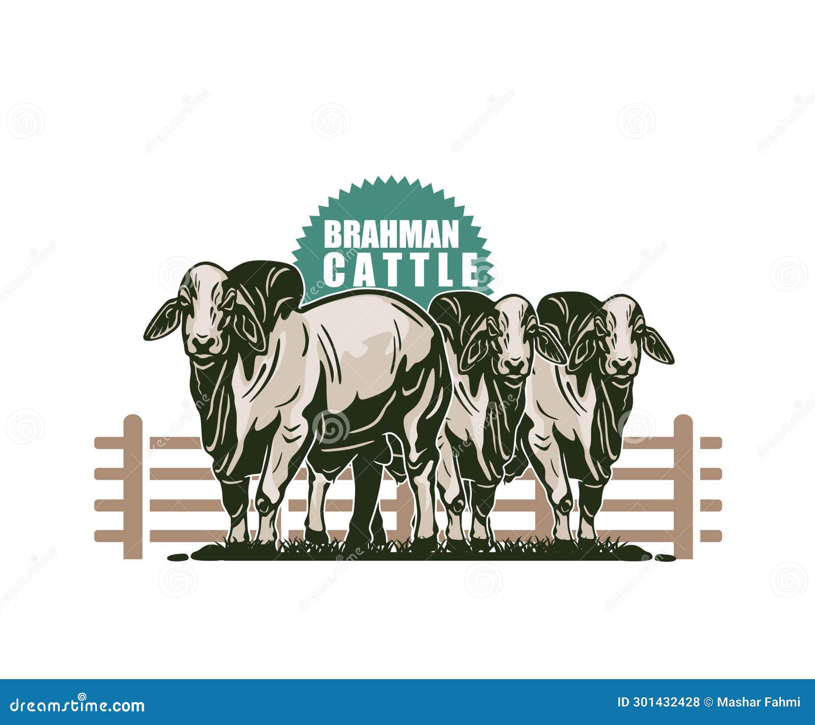 GREAT BRAHMAN CATTL STANDING LOGO Stock Vector - Illustration of beef ...