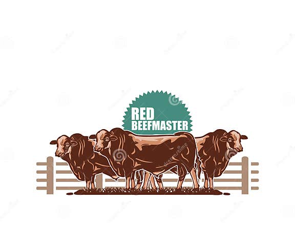 RED BEEFMASTER COW STANDING at RANCH LOGO Stock Vector - Illustration ...