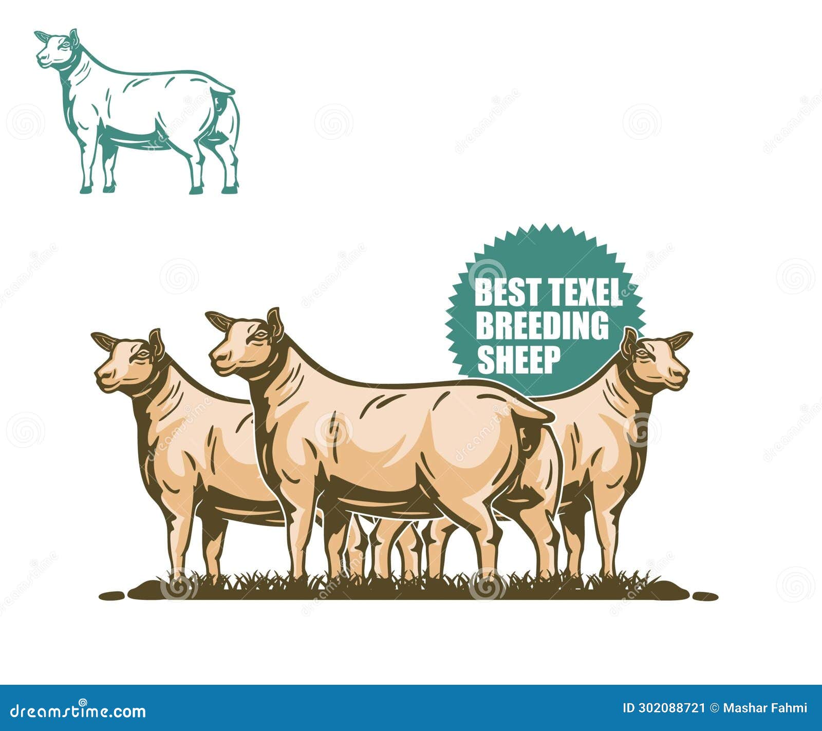 TEXEL BIG and STRONG SHEEP STANDING LOGO Stock Vector - Illustration of ...