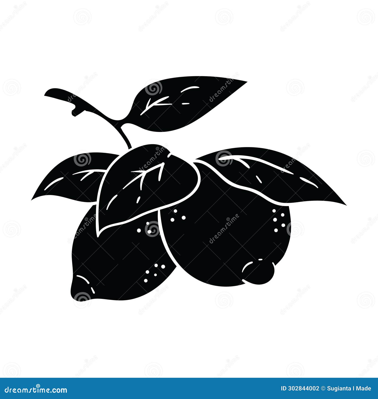 Hand drawing lime stock vector. Illustration of style - 302844002