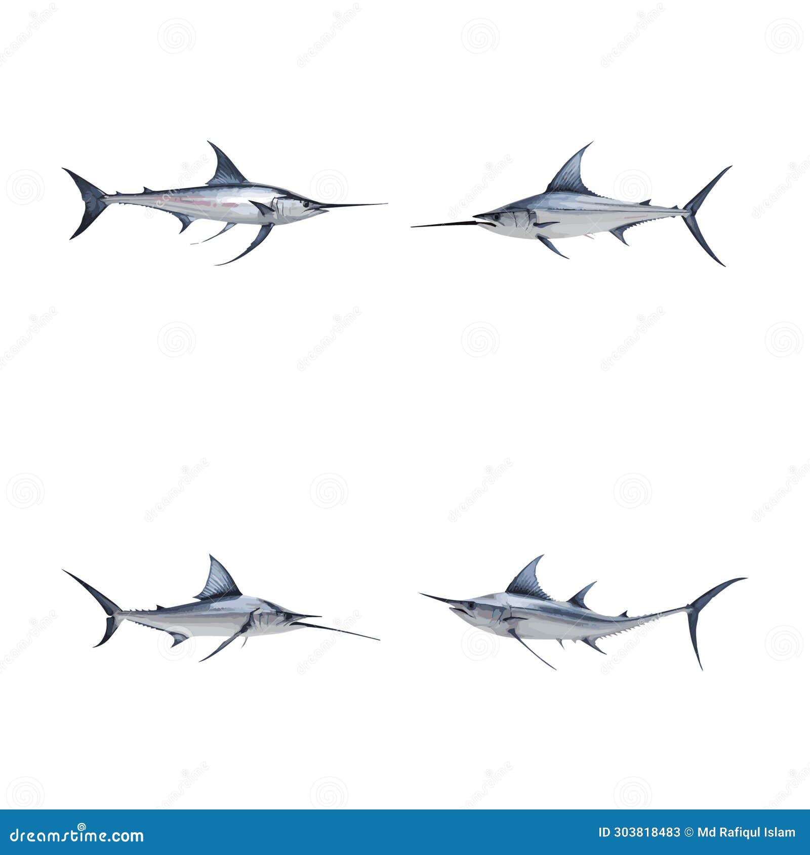 Beautiful Swordfish Set Isolated on a White Background Stock Vector ...