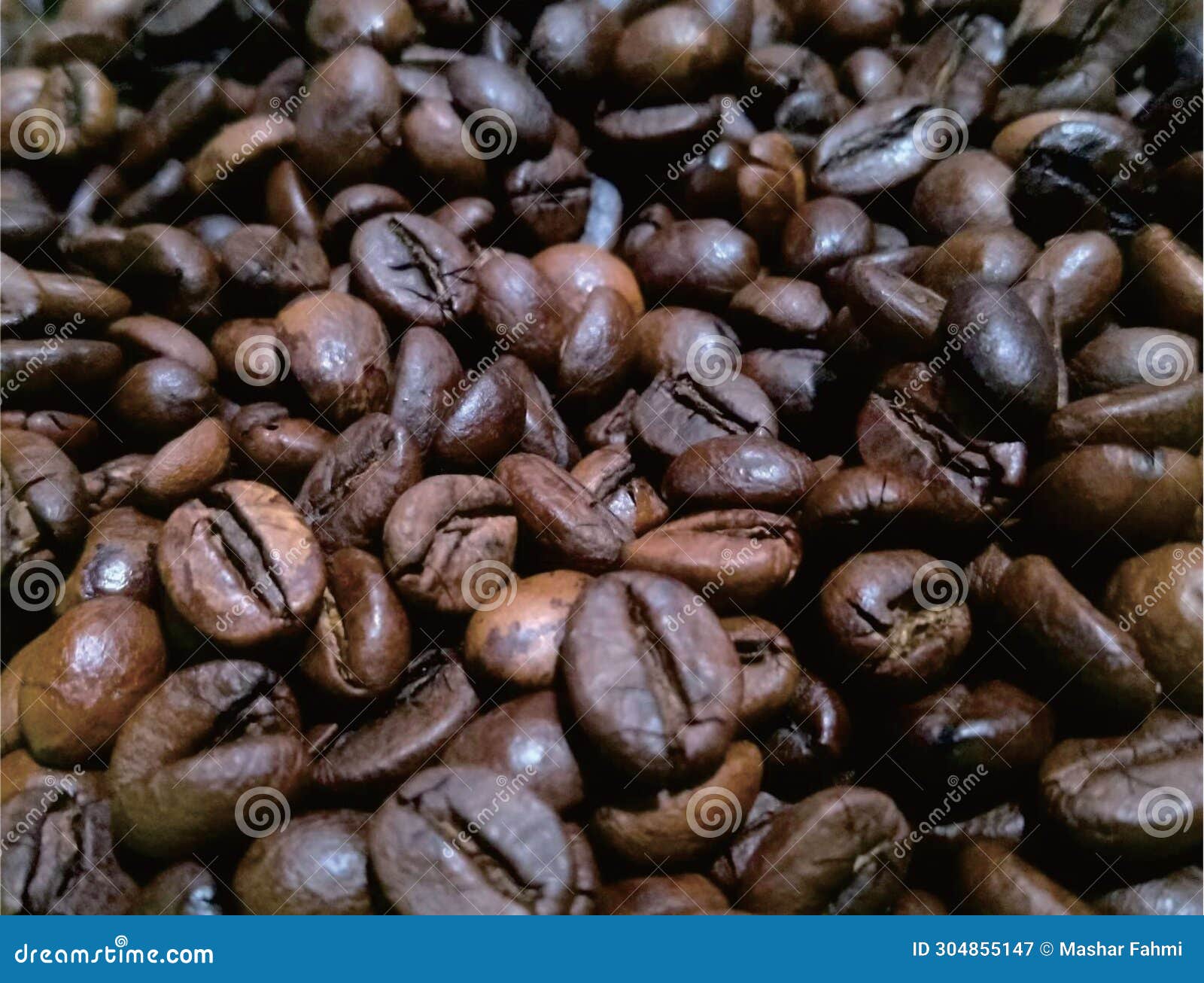 Gayo Coffee Beans are Famous for Being Delicious and of High Quality ...