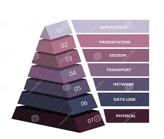 7 Layer OSI Network Model Presented in Pyramid Stock Illustration ...