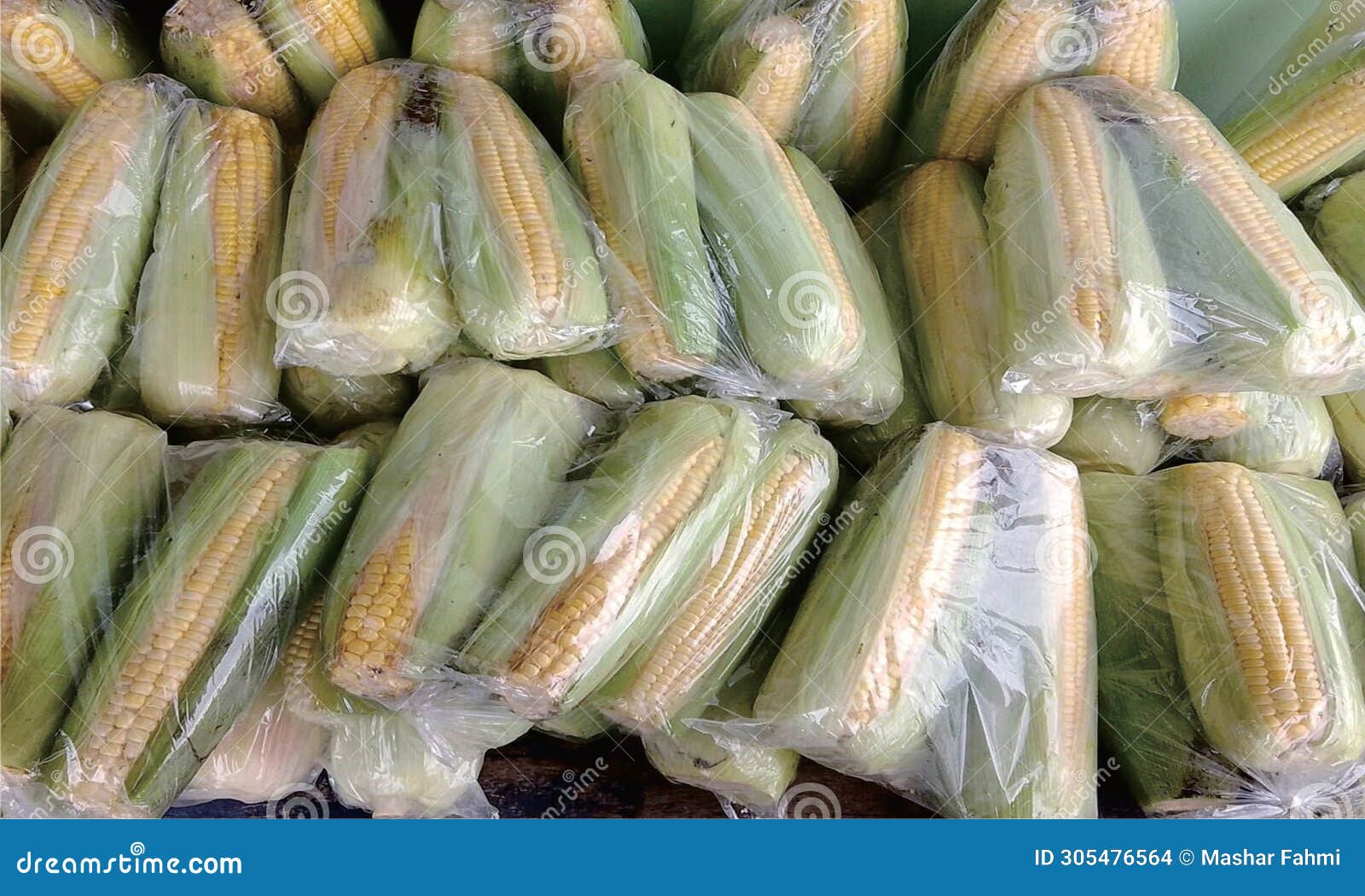 Sweet Corn Wrapped in Transparent Plastic, Ready Sold To Market Stock ...