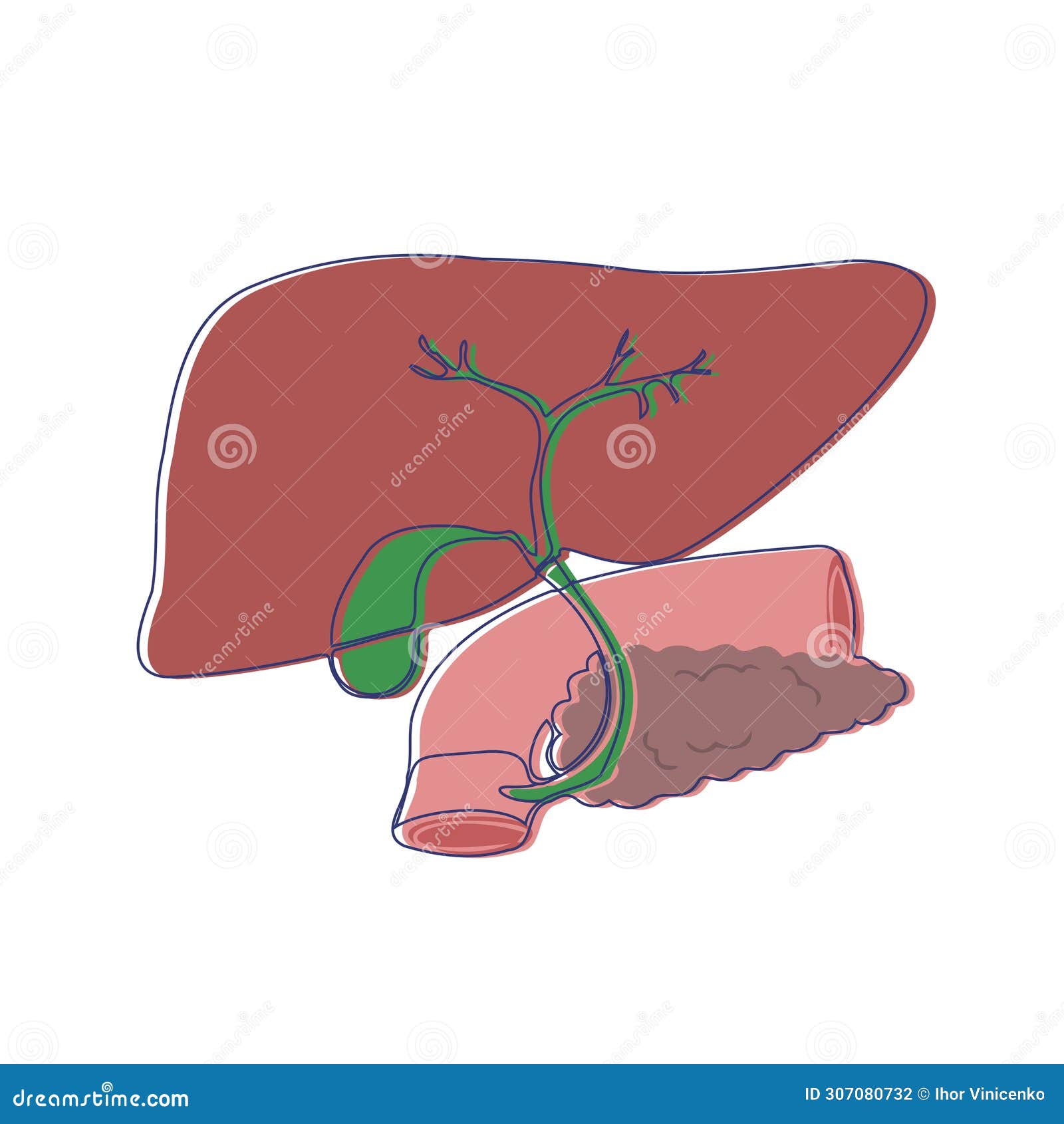 Sticker Pancreas. Related To Human Organ Symbol. Simple Design Editable ...