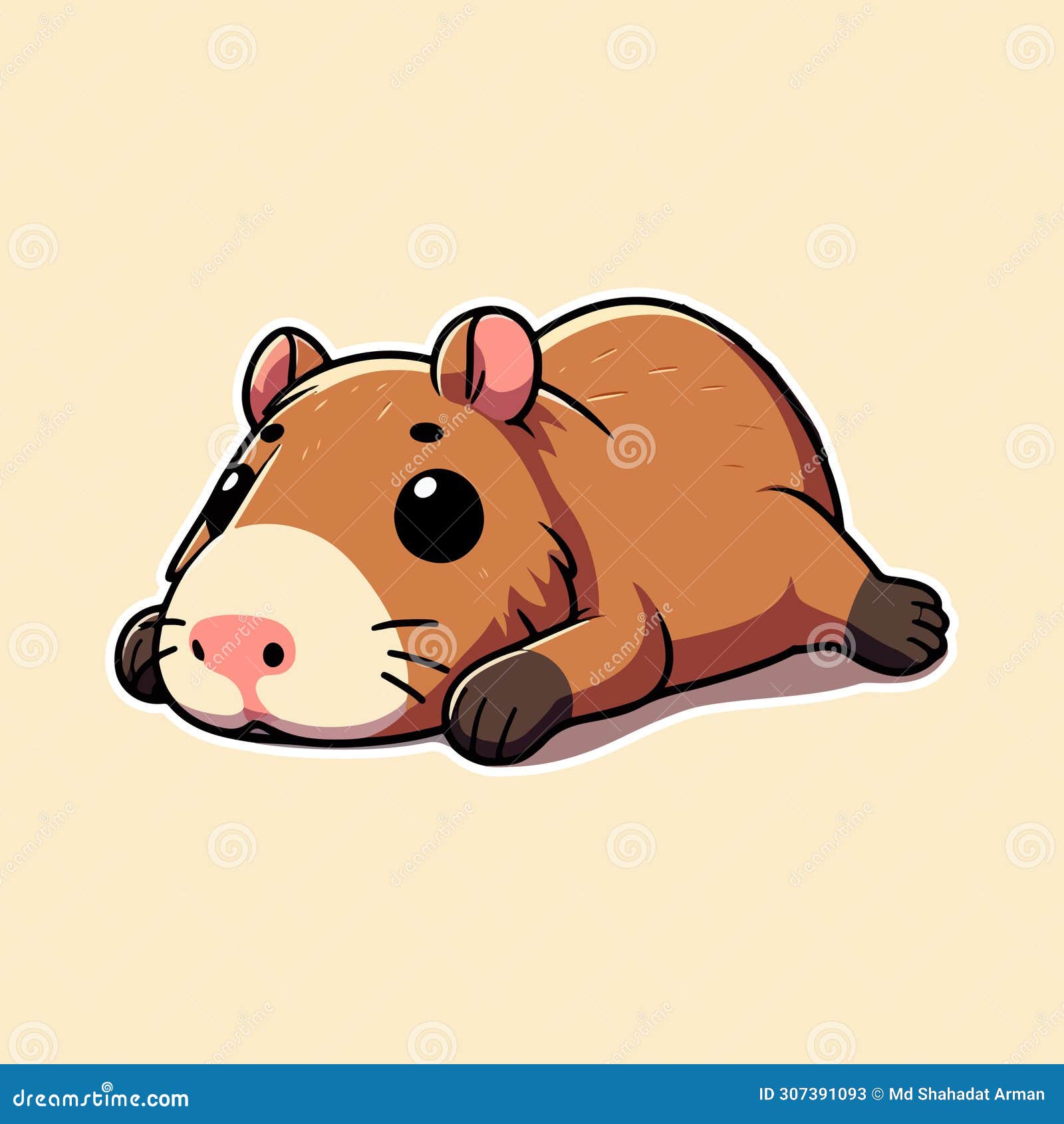 A Tired Capybara Laying on His Stomach with His Legs Stretched Stock ...