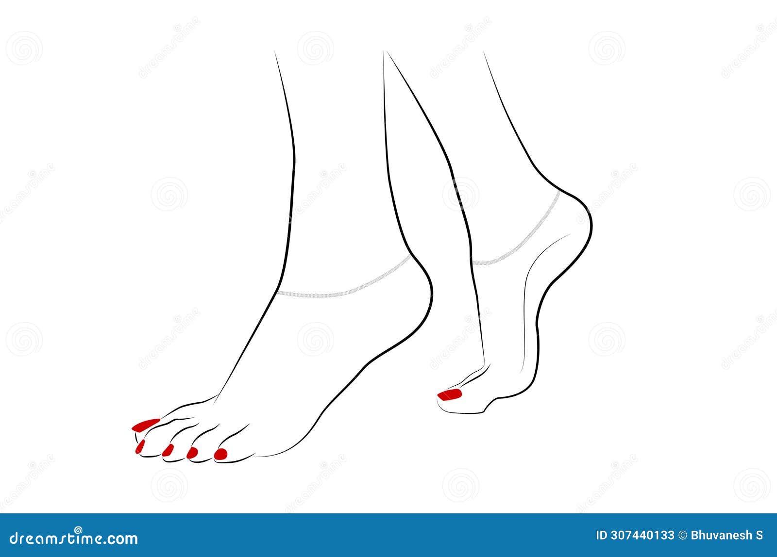 Woman Feet with Red Nails and Thin Anklets Isolated on White Background ...