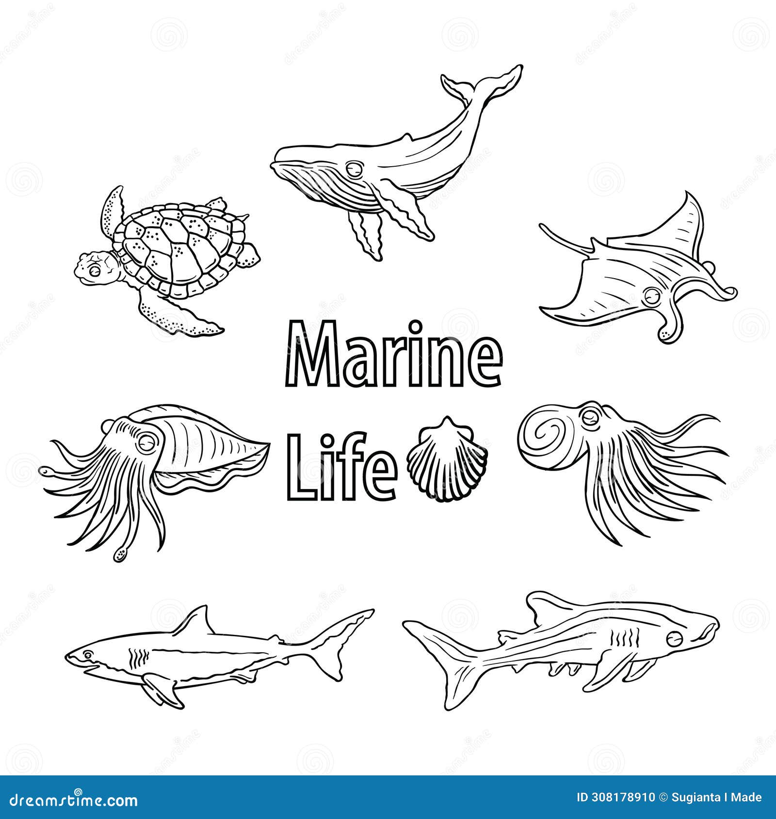 Marine Life Hand Drawing Vector Stock Vector - Illustration of ...