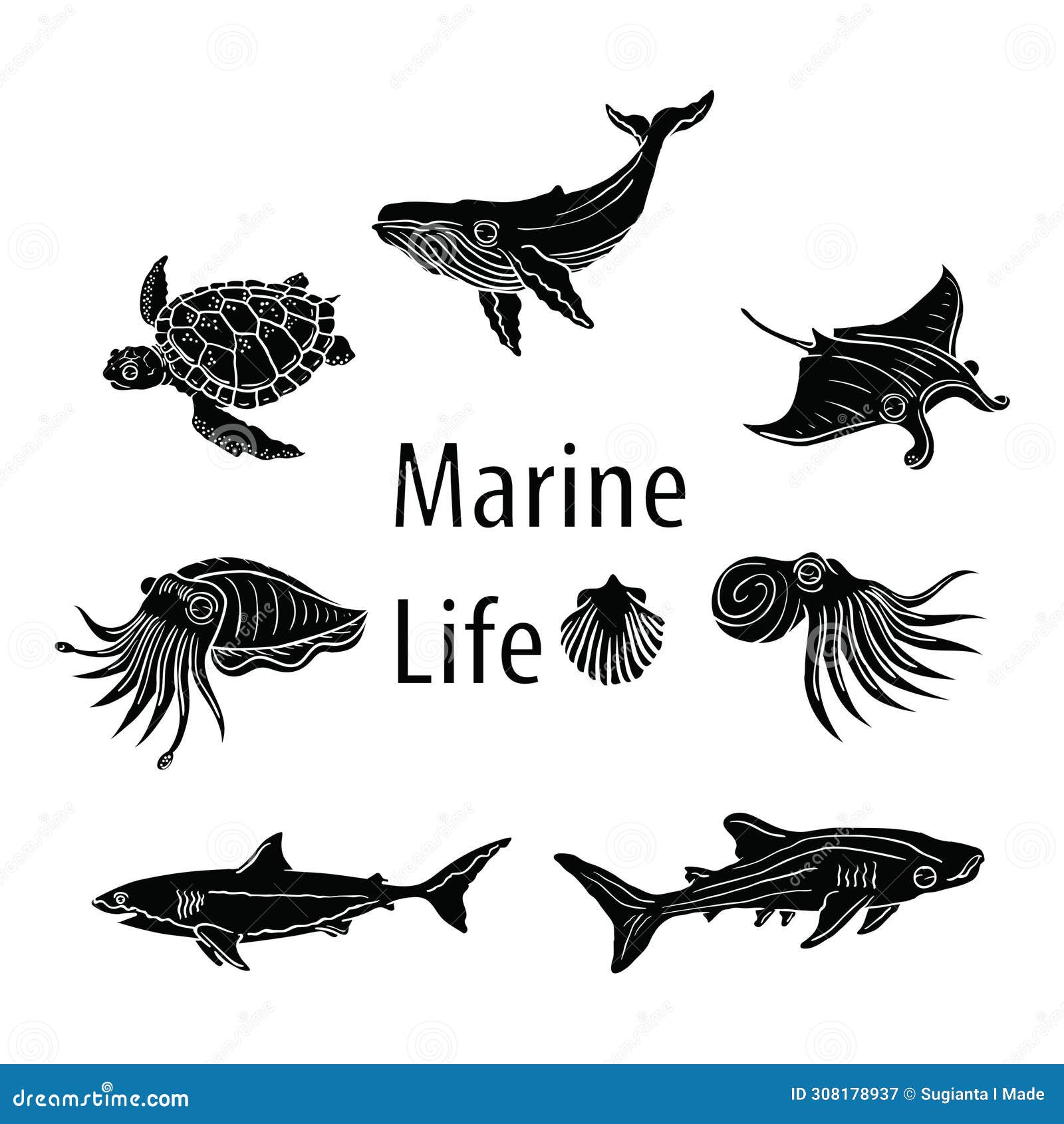 Marine Life Hand Drawing Vector Stock Vector - Illustration of insects ...
