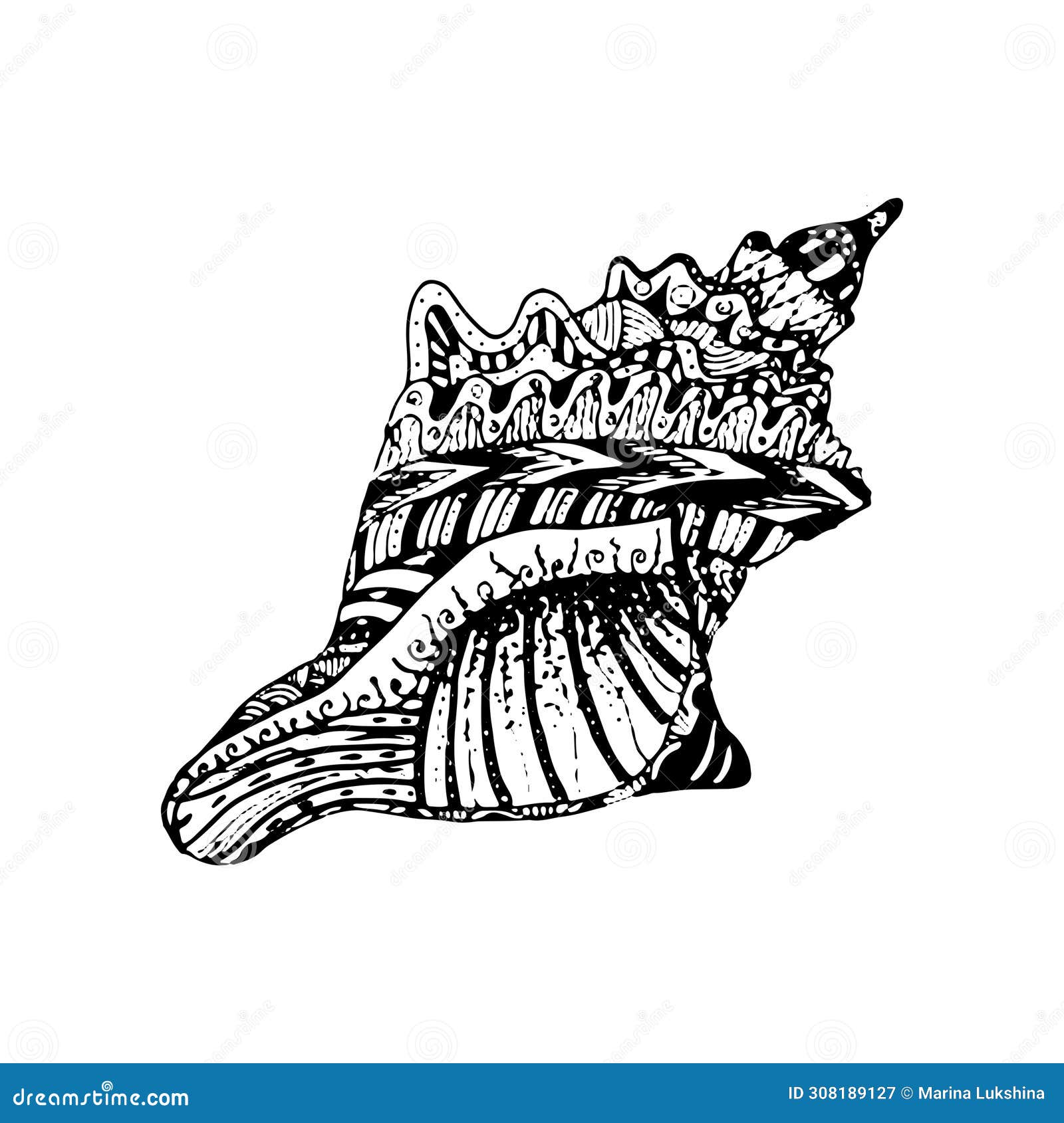 Hand Drawn Seashell Doodle Line Art. Stock Illustration - Illustration ...