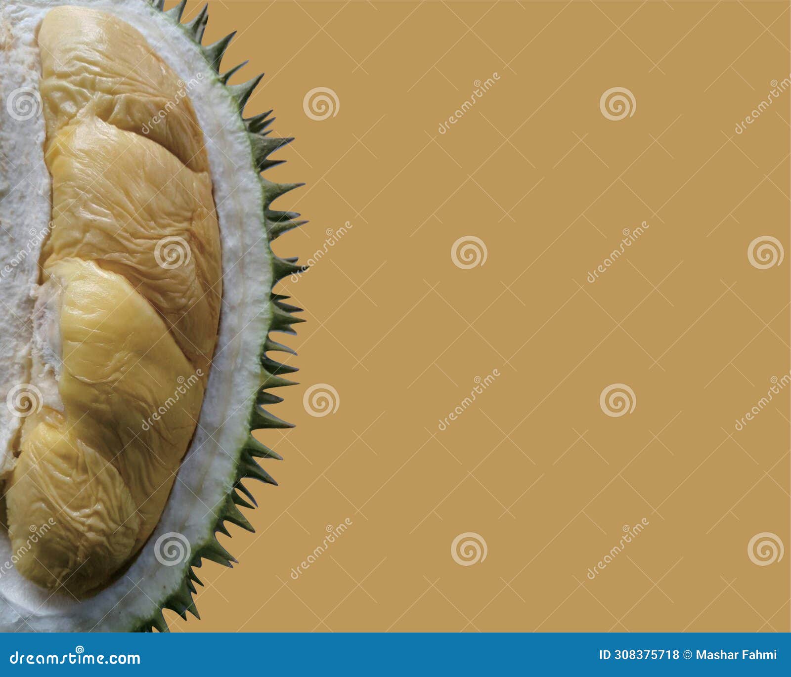 Big Durian Fruit Sliced and Blank Area Promotions Stock Photo - Image ...