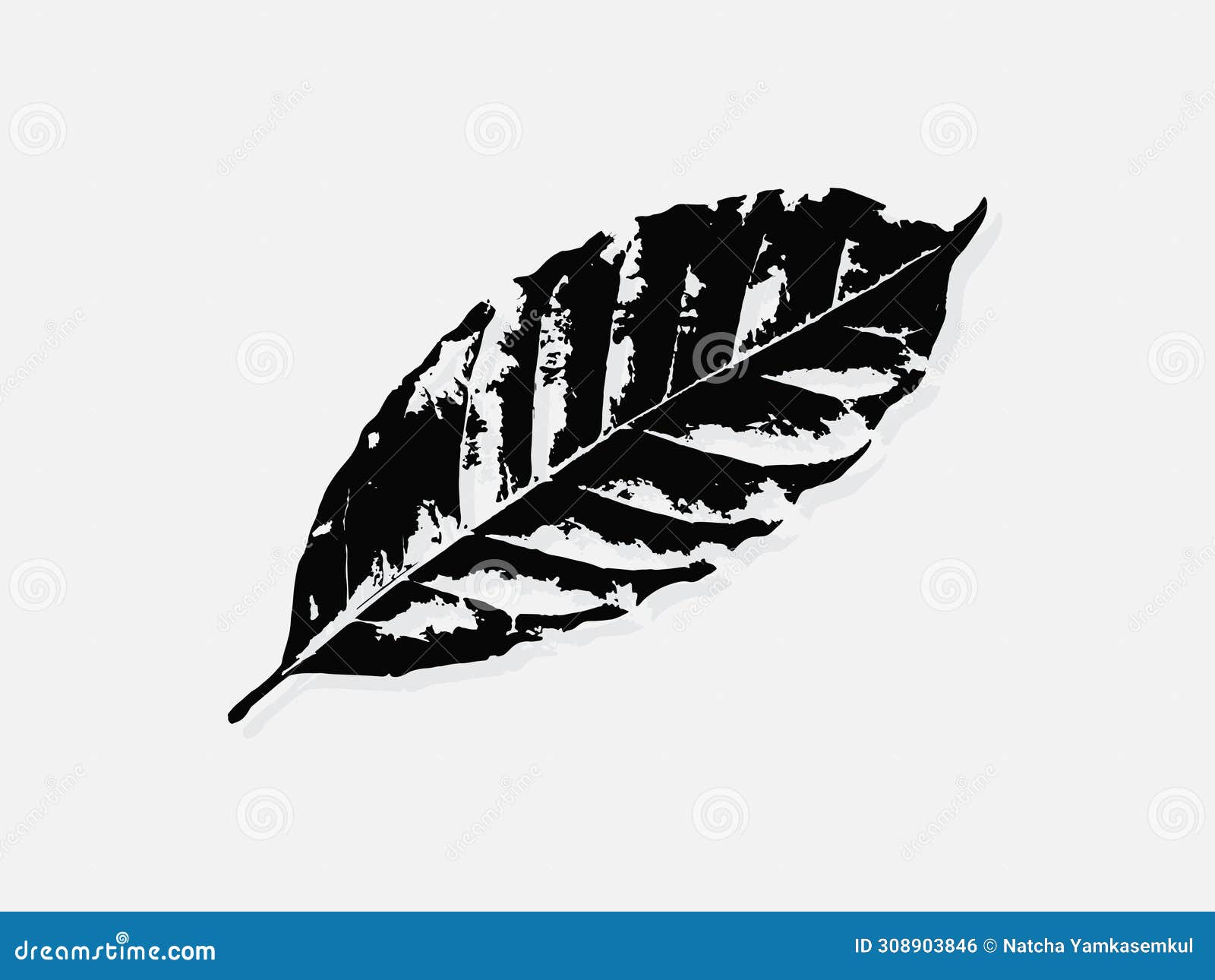 Coffee Leaf Engraving Vector Illustration. Scratch Board Style ...