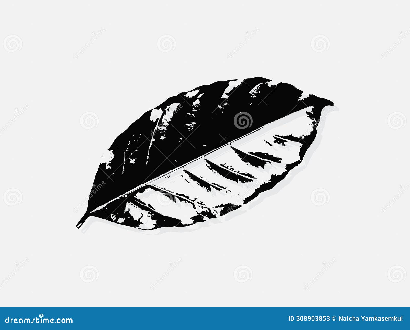 Coffee Leaf Engraving Vector Illustration. Scratch Board Style ...
