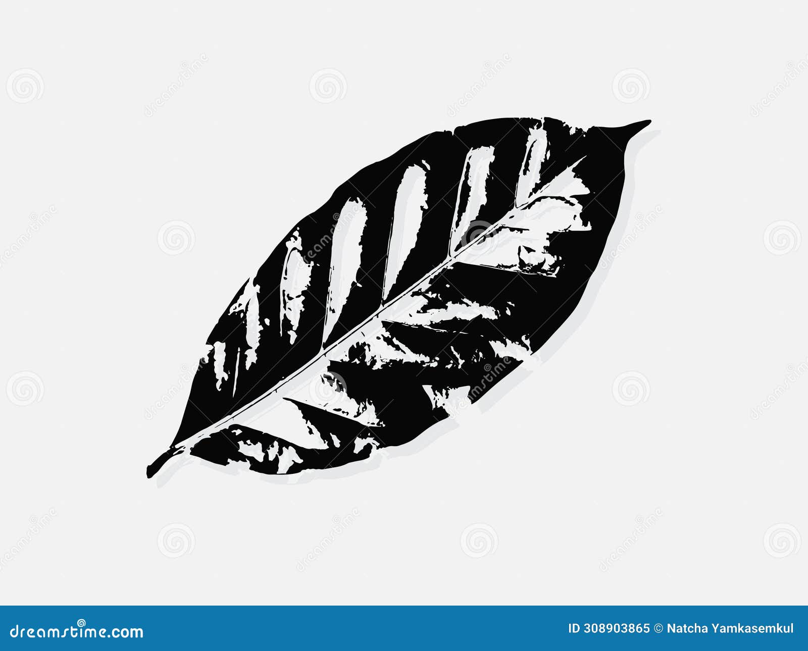 Coffee Leaf Engraving Vector Illustration. Scratch Board Style ...