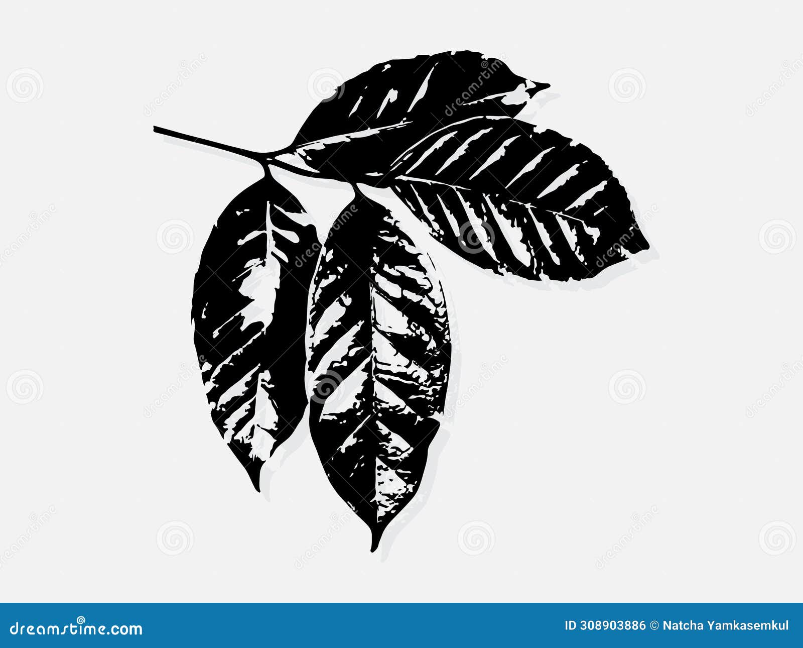 Coffee Leaf Engraving Vector Illustration. Scratch Board Style ...