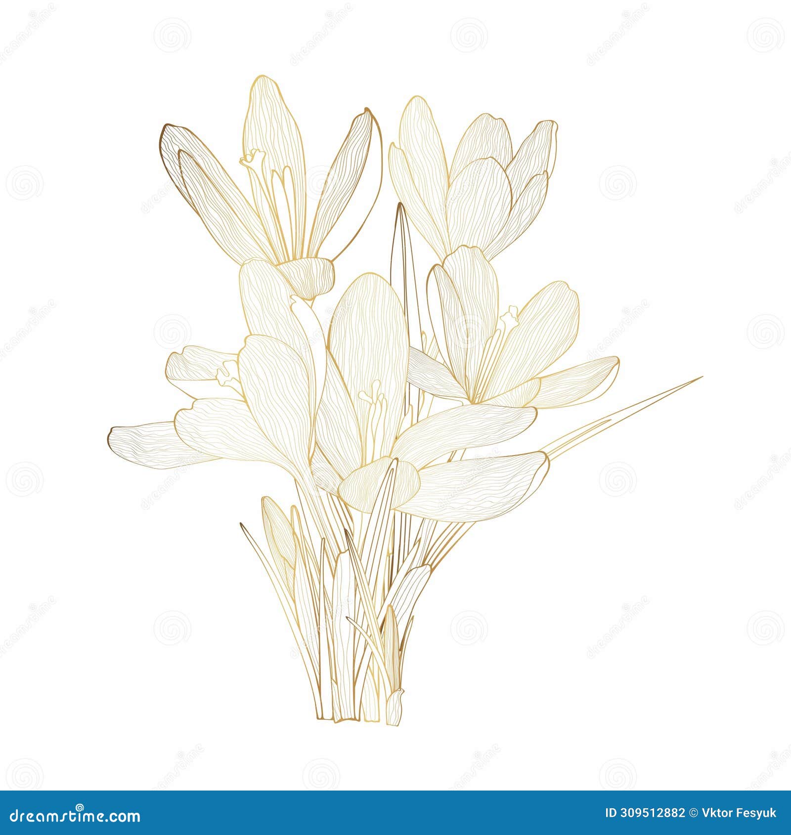 Sketch Floral Illustration. Golden Ink Drawing of Crocus Flowers in a ...
