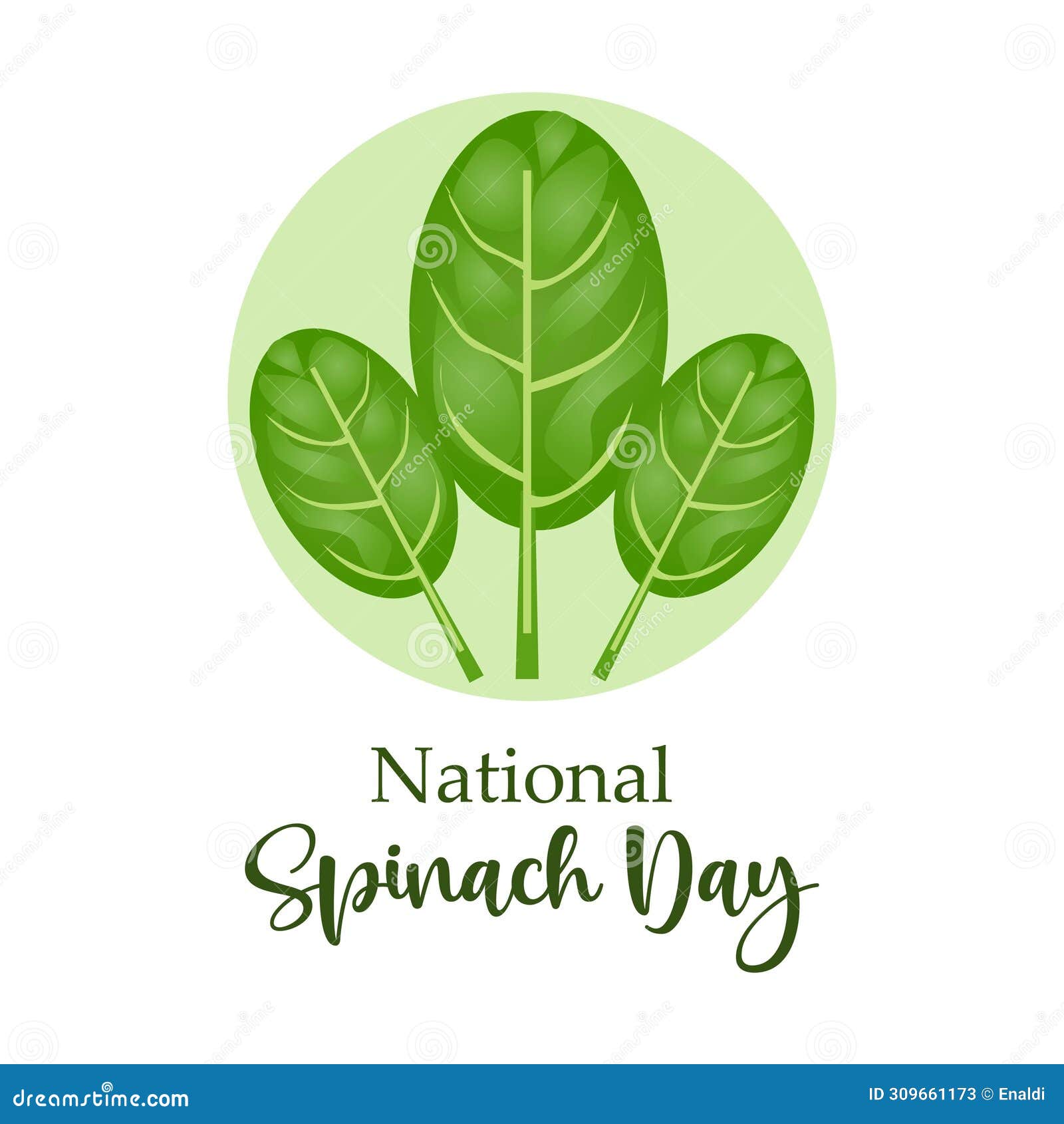 National Spinach Day Sign and Badge Vector Stock Vector - Illustration ...
