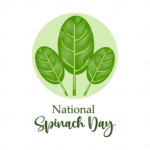 National Spinach Day Sign and Badge Vector Stock Vector - Illustration ...