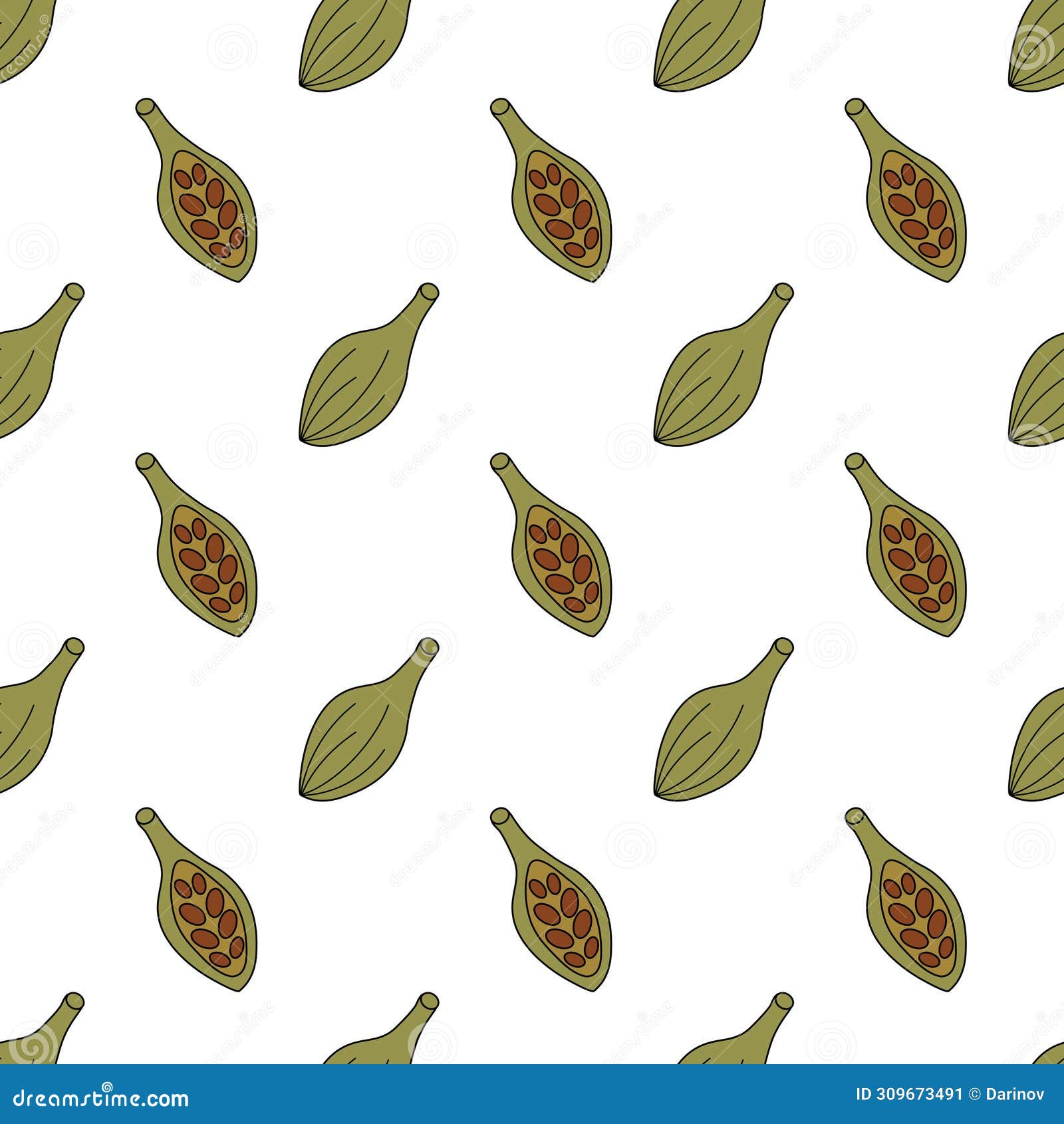 Cardamom. Whole And Half With Seeds. Spice, Condiment And Herb. Doodle ...