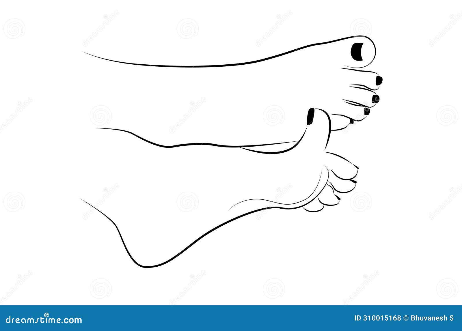 Woman Feet with Black Nails Line Drawing Isolated on White Background ...