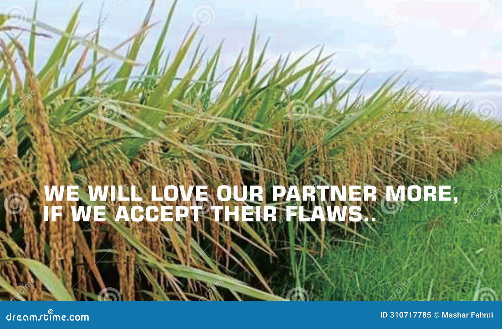 Positive Wisdom about Our Partners Stock Image - Image of paddy ...