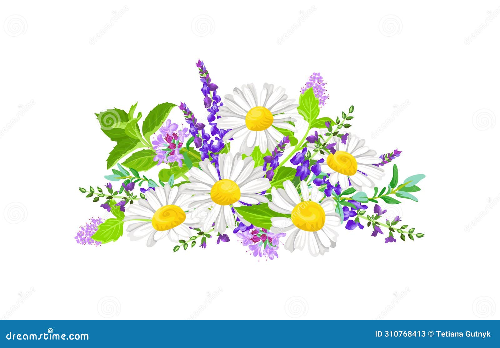 Bouquet of Wild Flowers and Herbs. Vector Cartoon Illustration Stock ...