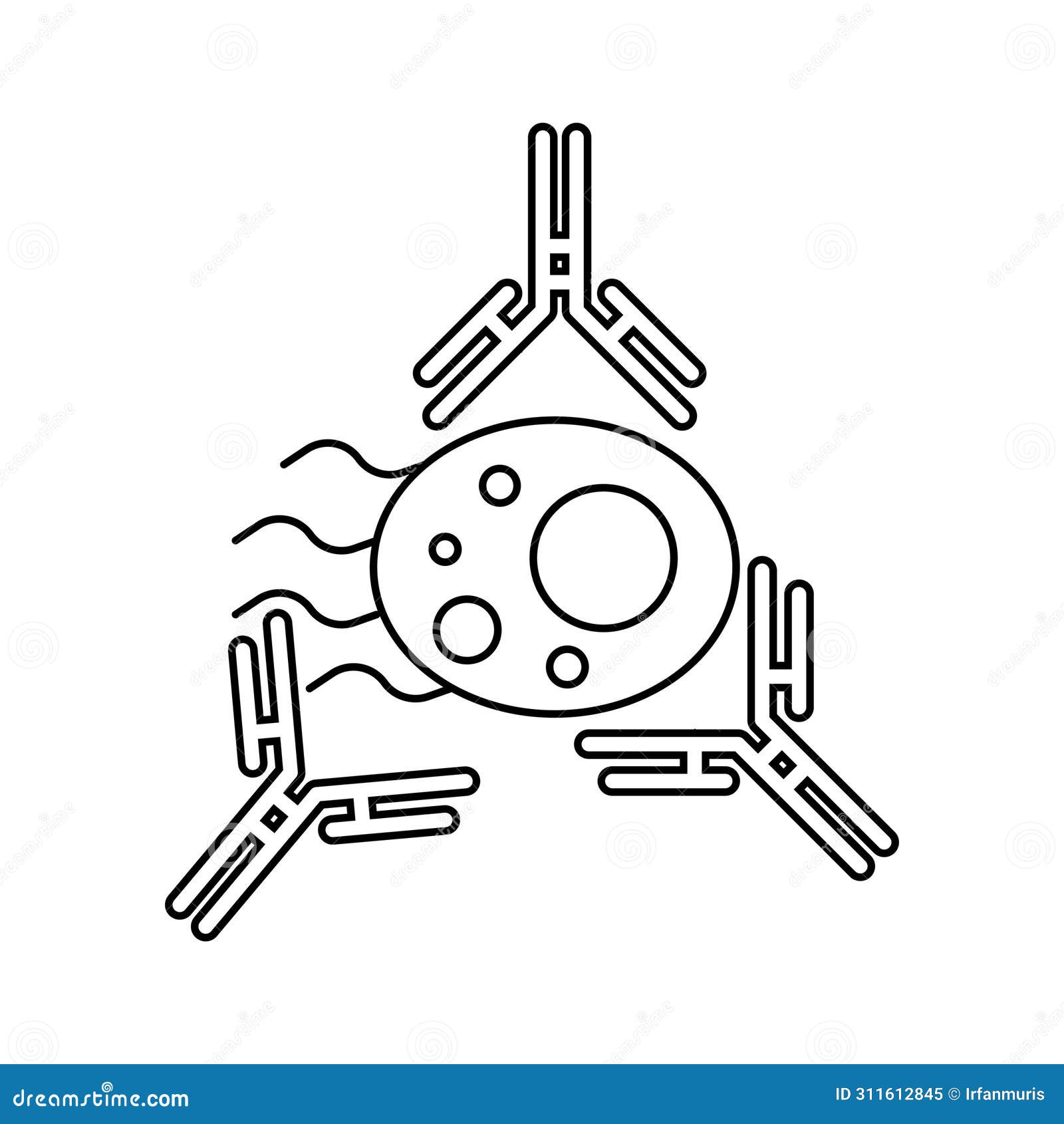 Antibody Against Bacteria Infection, Immune System Concept Icon Vector ...