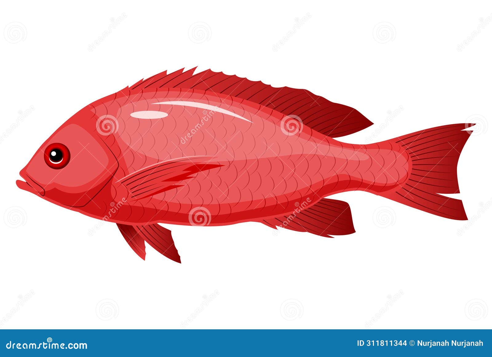 Red Snapper Isolated Illustration. Stock Illustration - Illustration of ...