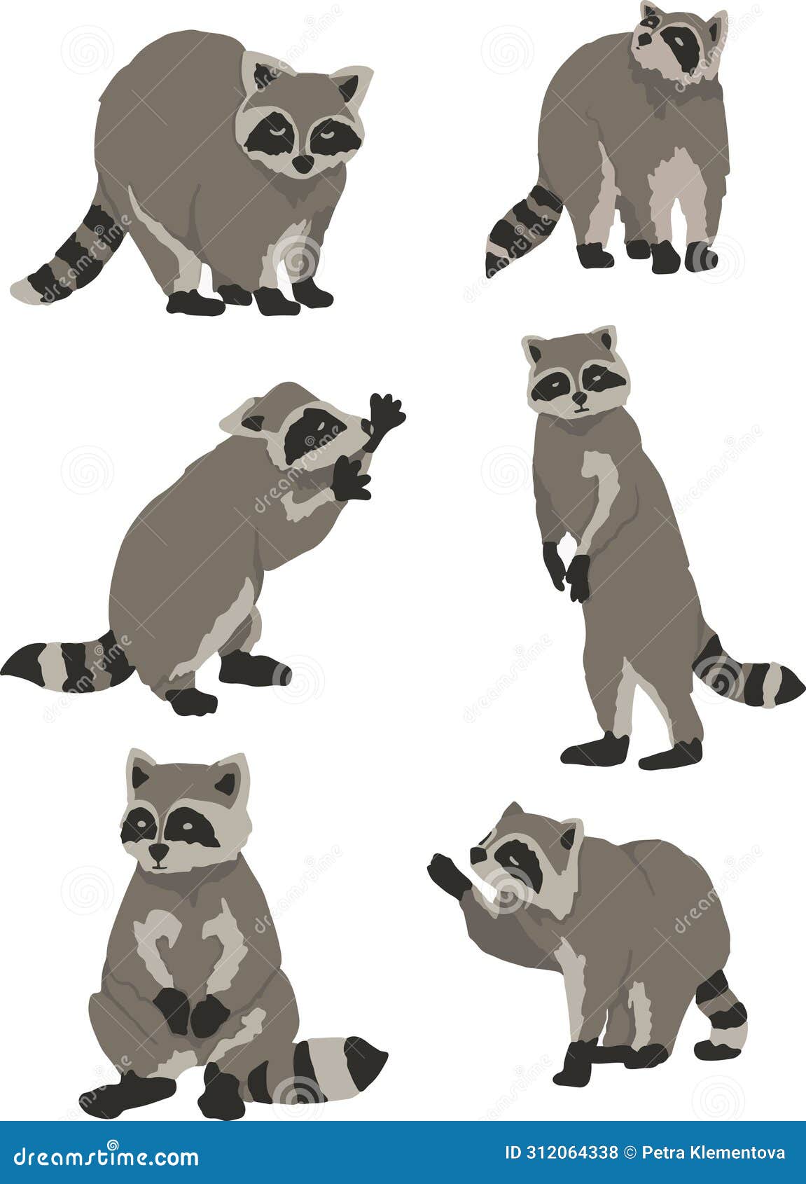 Raccoon movements vector stock vector. Illustration of raccoon - 312064338