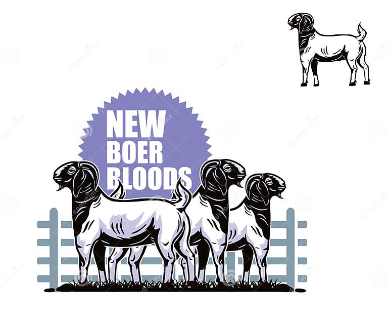 GREAT BOER GOAT FARM LOGO stock vector. Illustration of logo - 312449503