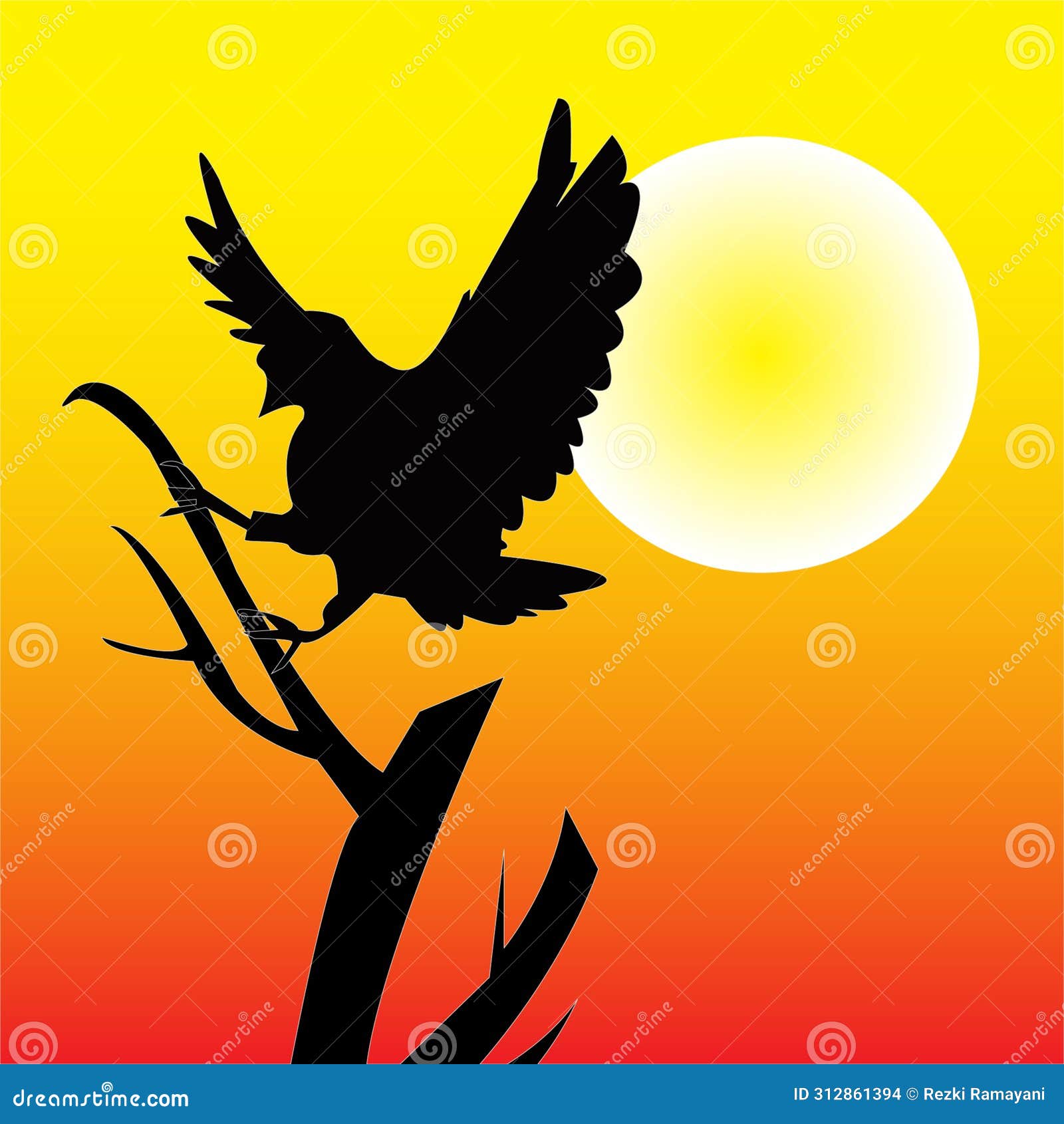 Bird Silhouette with Sunset, Sunset Background, Beautiful Afternoon ...