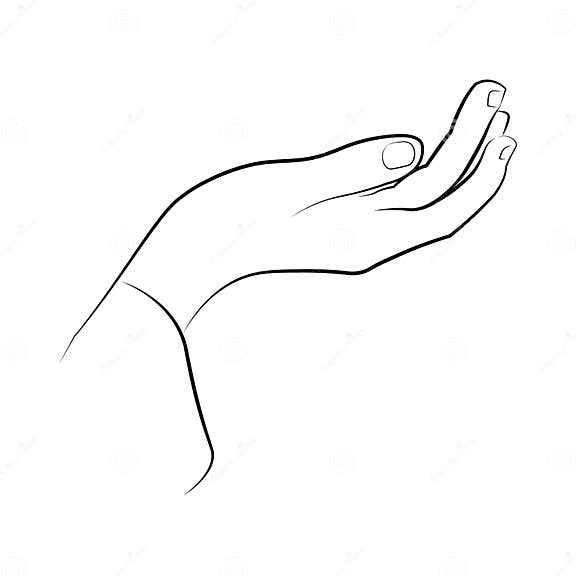 Female Hand Line Art. Simple Sketch Design. Cartoon Stock Vector ...