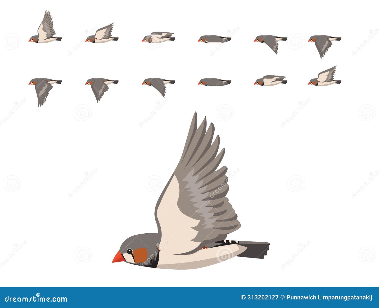 Bird Zebra Finch Flying Animation Sequence Cartoon Vector Stock Vector ...