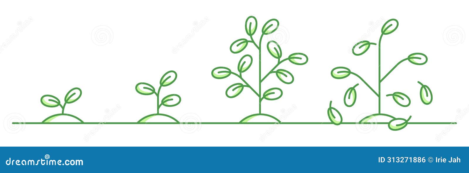 Plant Growth Stages. Growth Concept. Gardening. Line Art Graphics ...