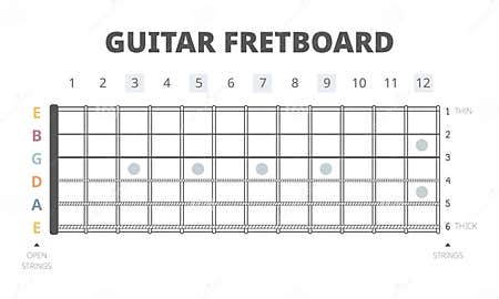Guitar Fretboard Chart Vector Illustration. Guitar Neck Map with Frets ...