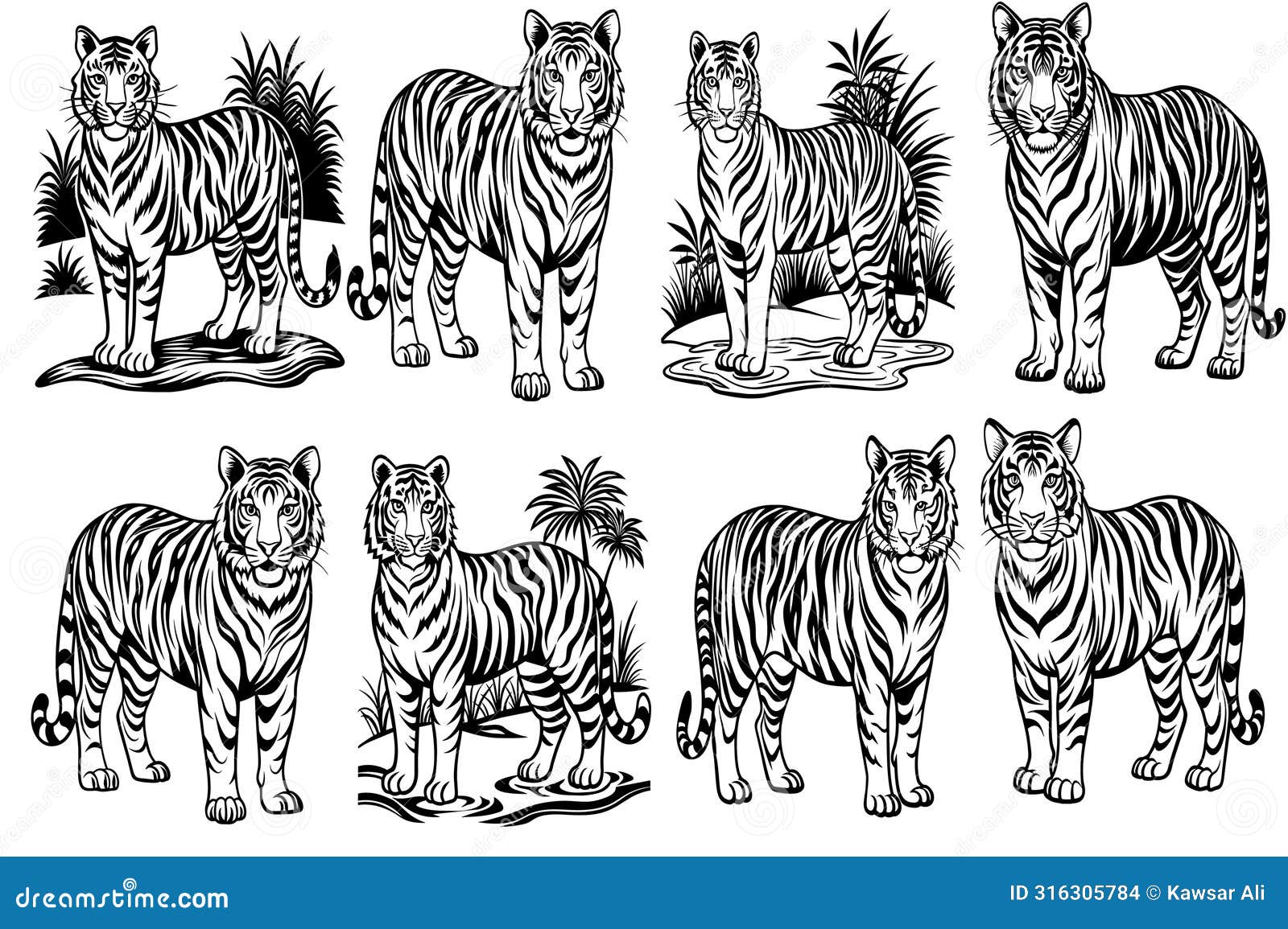 8 Tiger Vector Illustration Stock Illustration - Illustration of file ...