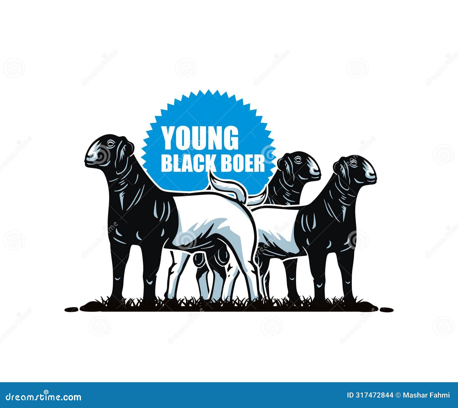 YOUNG BLACK HEAD BOER GOATS LOGO Stock Vector - Illustration of boer ...