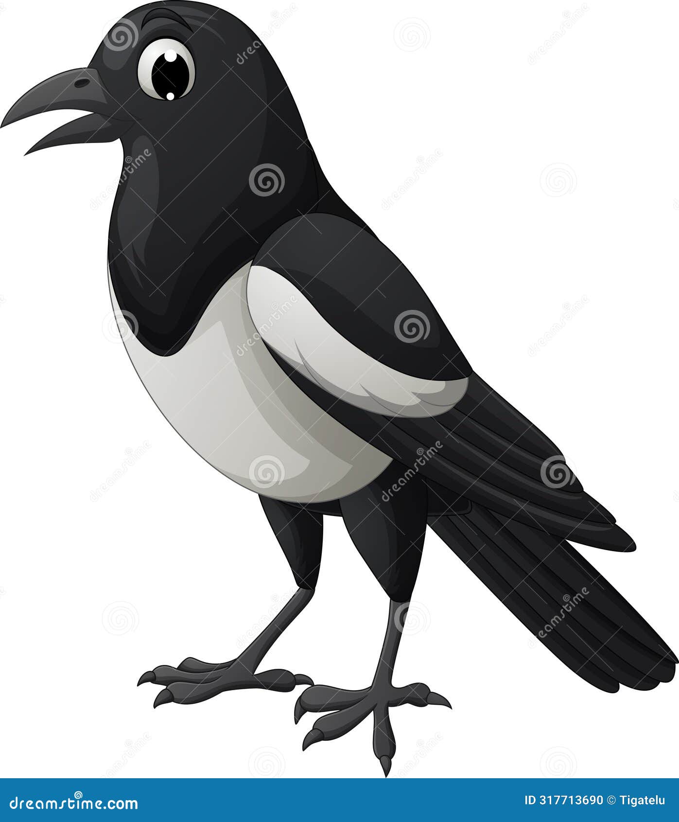 Cartoon Magpie Bird Isolated on White Background Stock Illustration ...