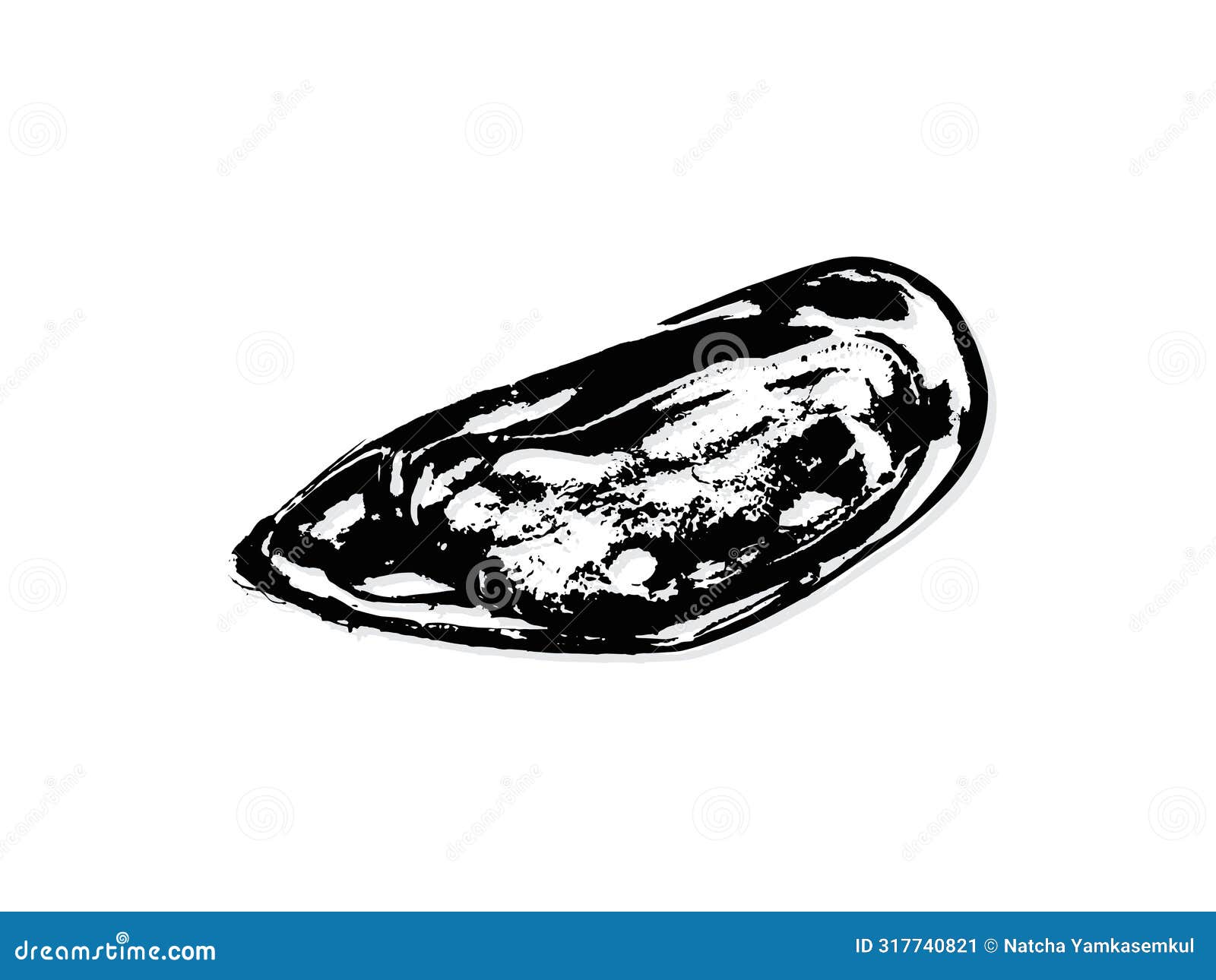 Black And White Illustration Sketch Of A Mussel Hand Drawing Vector ...