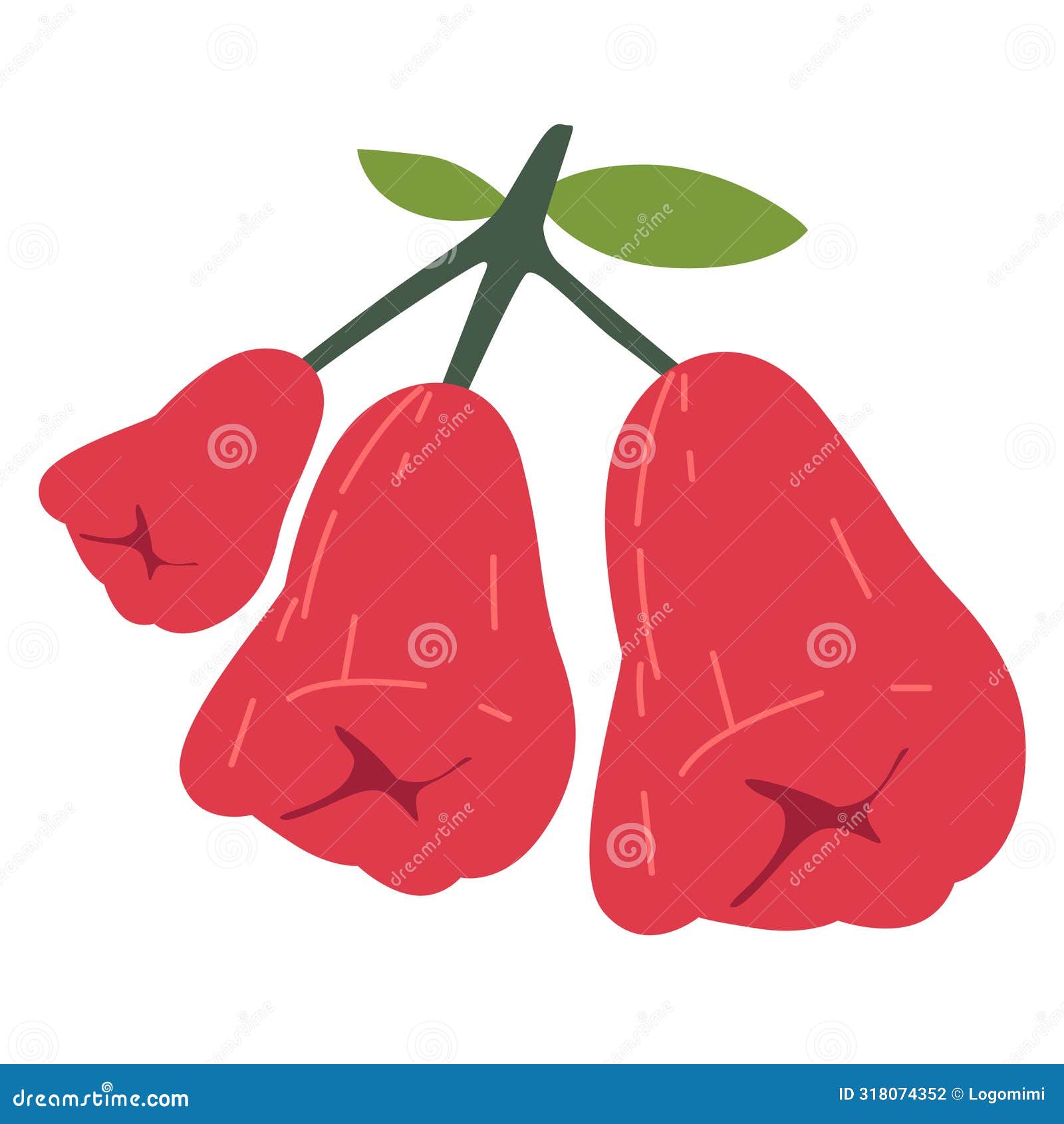 Red Water Apple or Rose Apple Vector Illustration, Buah Jambu Air or ...