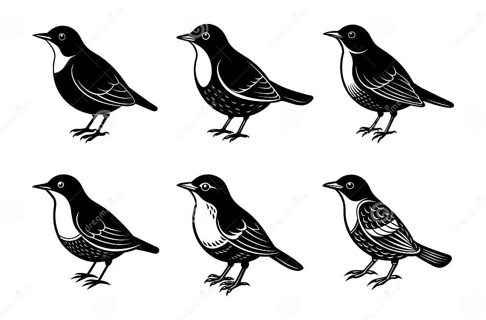 Set of American Dipper Bird Icon Vector Silhouette Stock Vector ...